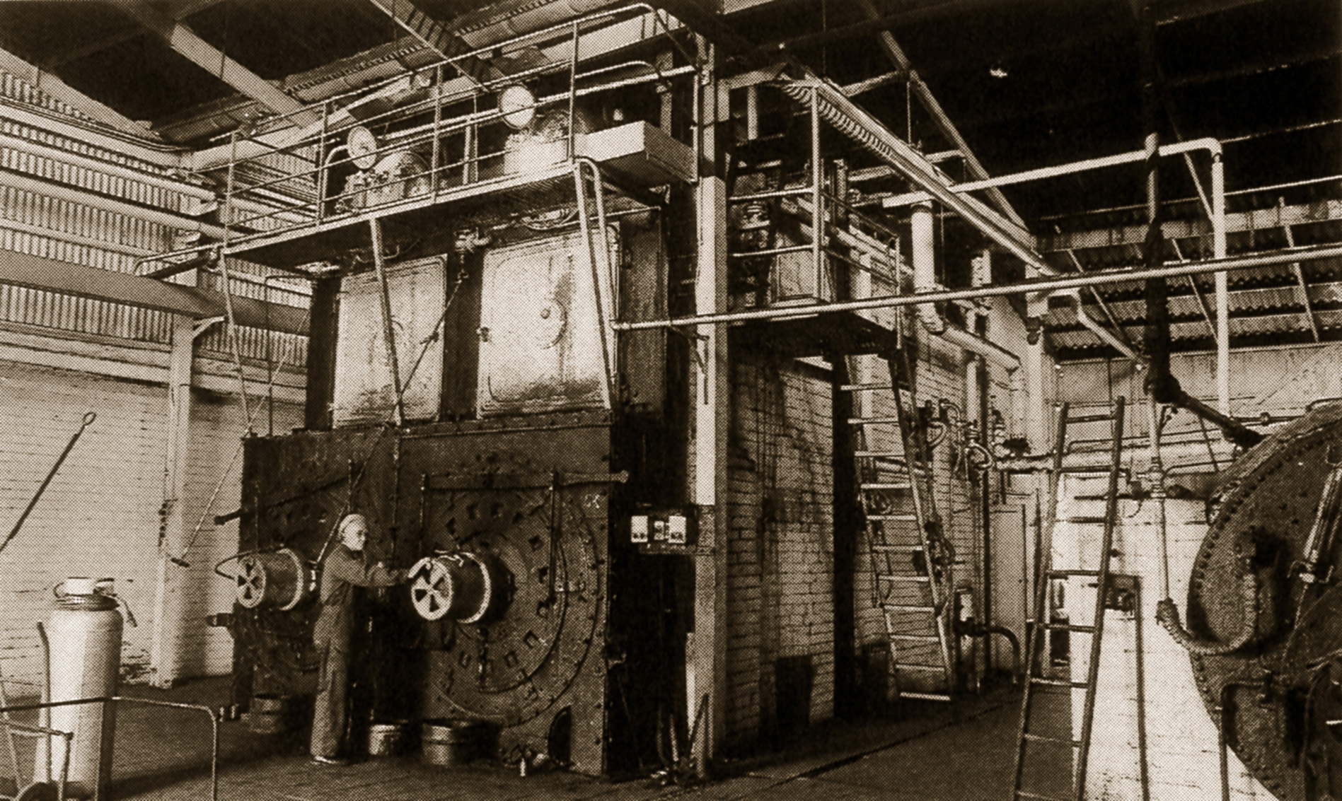 Hamilton's Ewell Vineyards : Image Bank